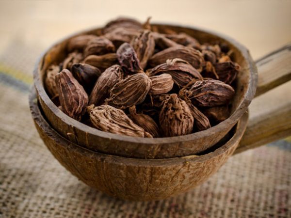 बड़ी इलायची खाने से शरीर को मिलते है अनेको फायदे, जानिए कैसे – Navyug ...